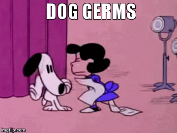 Lucy swings. misses and gets kissed by Snoopy - Imgflip