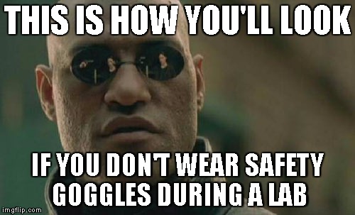 Matrix Morpheus Meme - Imgflip