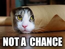 10 Guy Meme - Imgflip