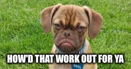 Grumpy cat snow - Imgflip