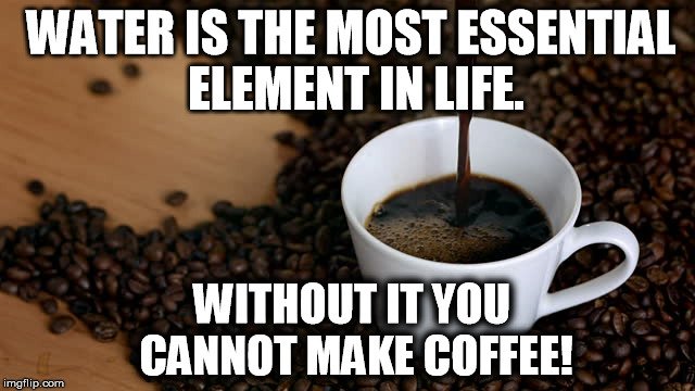 Image Tagged In National Coffee Day Imgflip