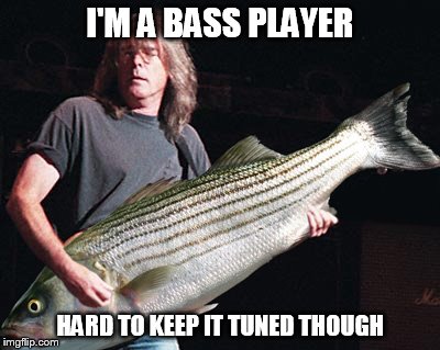 Bass guitar pun - Imgflip