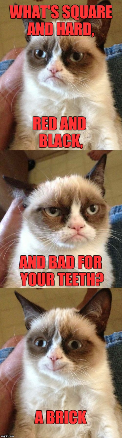 Image Tagged In Grumpy Cat bad Pun memes funny Imgflip Image Tagged In Grumpy Cat bad Pun memes funny Imgflip