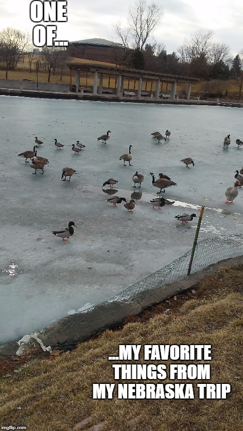 Nebraska Memes
