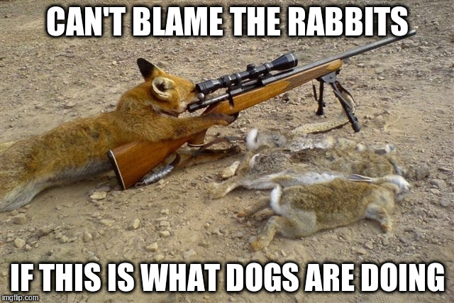 Rabbits MIGHT fire guns in some of the more twisted Bugs Bunny cartoons ...