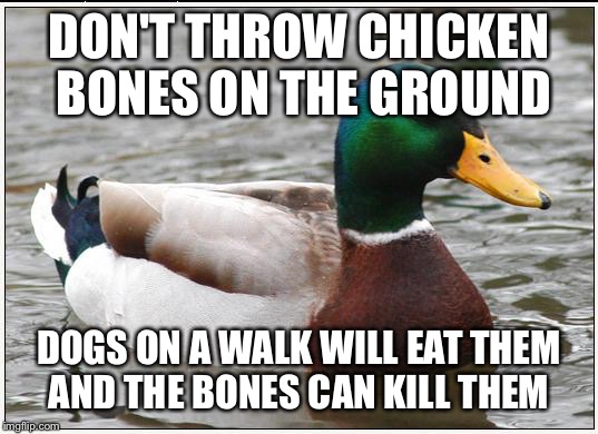 Actual Advice Mallard Meme - Imgflip