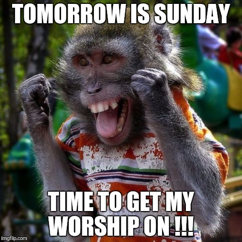 Excited Monkey - Imgflip