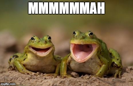 two happy frogs - Imgflip