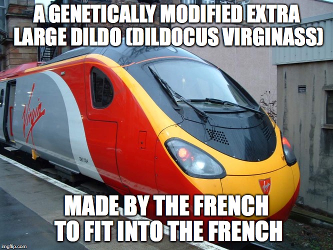 French Train Memes