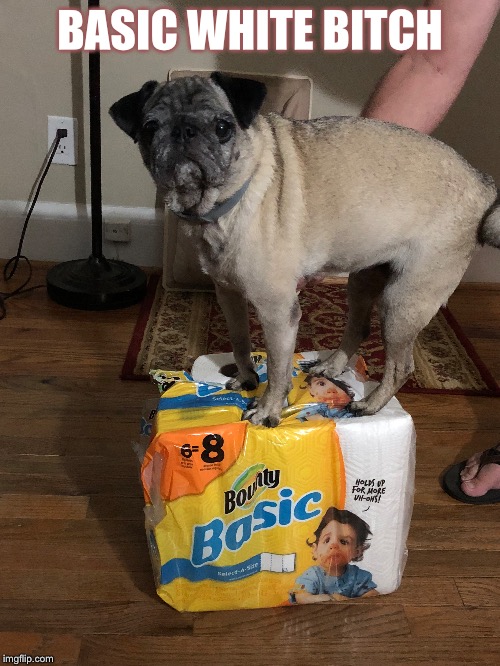 Basic White Bitch - Imgflip