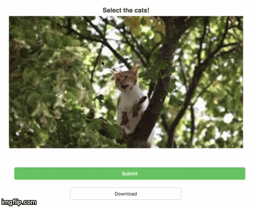 GitHub - ghandic/GroundTruth