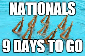 Synchronized Swimming - Imgflip