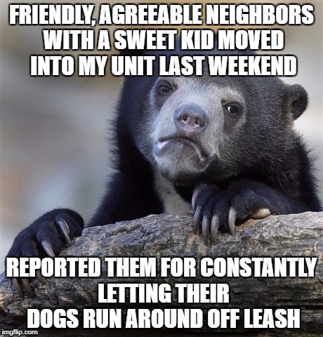 Confession Bear Meme - Imgflip