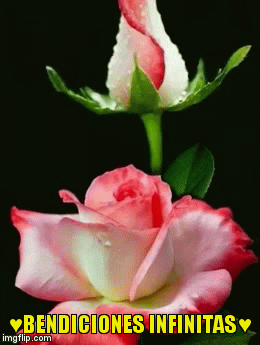 ♥Bendiciones infinitas♥ - Imgflip