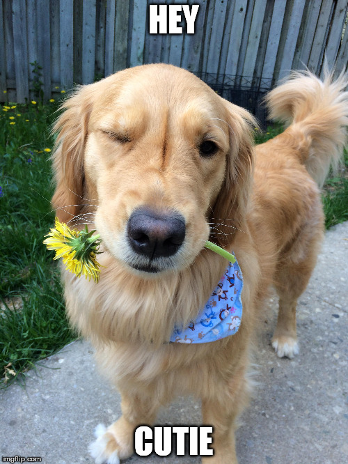 "Wink" For It! ≧ ≦ - Imgflip