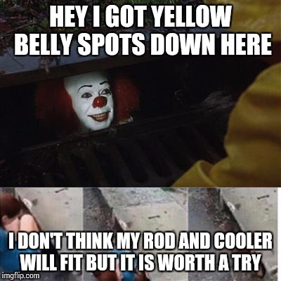 Yellow Belly Memes DG MEME +++ Ryanair Introduced The Oversized
