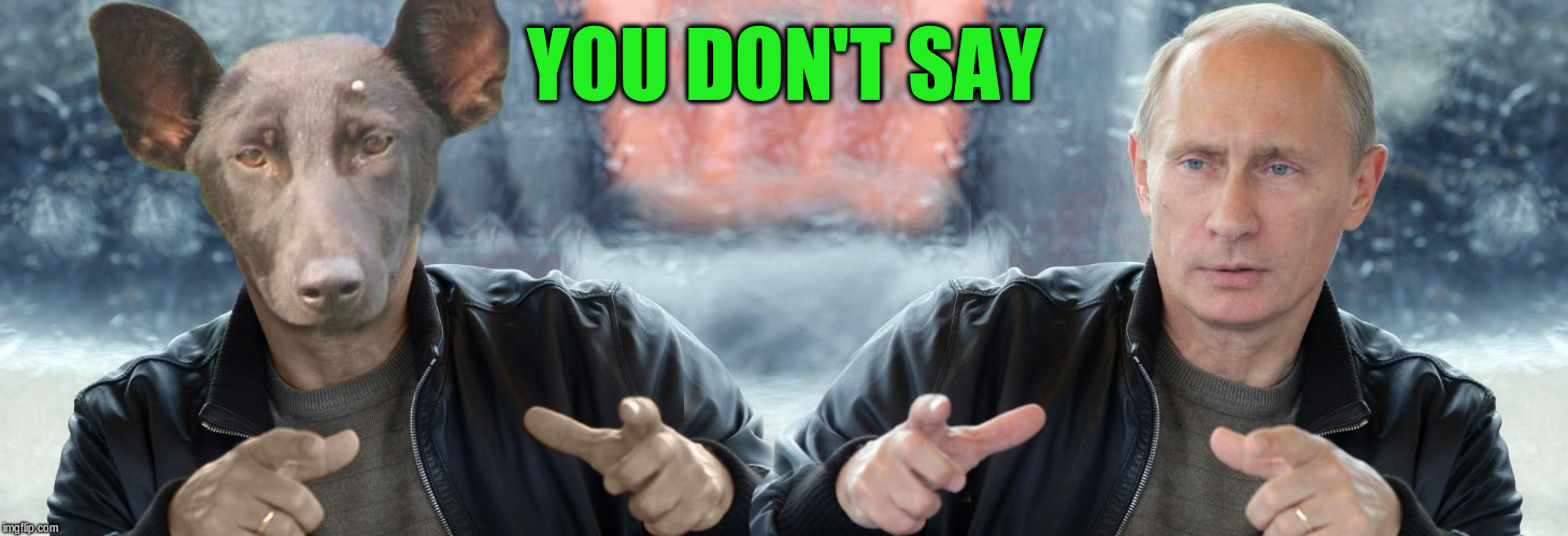 Woo, woo, wow-wooza!!! - Imgflip