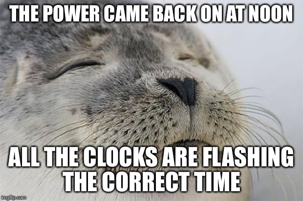 Satisfied Seal Meme - Imgflip