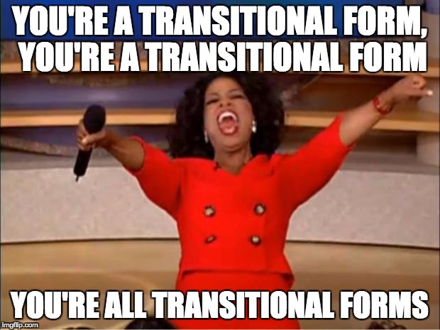 Oprah You Get A Meme - Imgflip