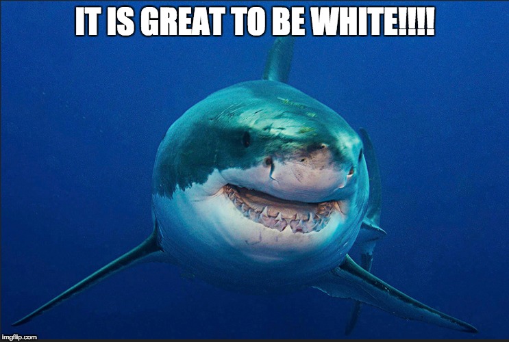 It is GREAT to be White! - Imgflip