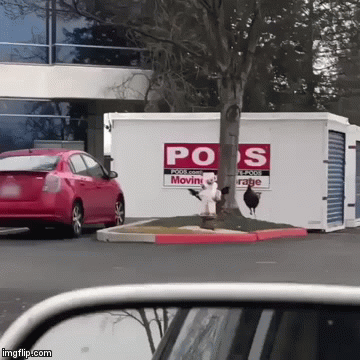 Roundabout - Imgflip