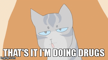 When your in the Medicine Cat Den - Imgflip