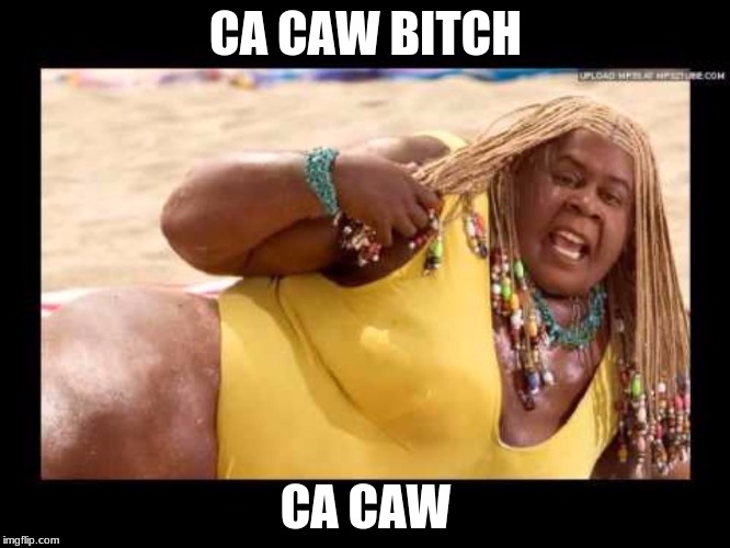 ca caw bitch - Imgflip