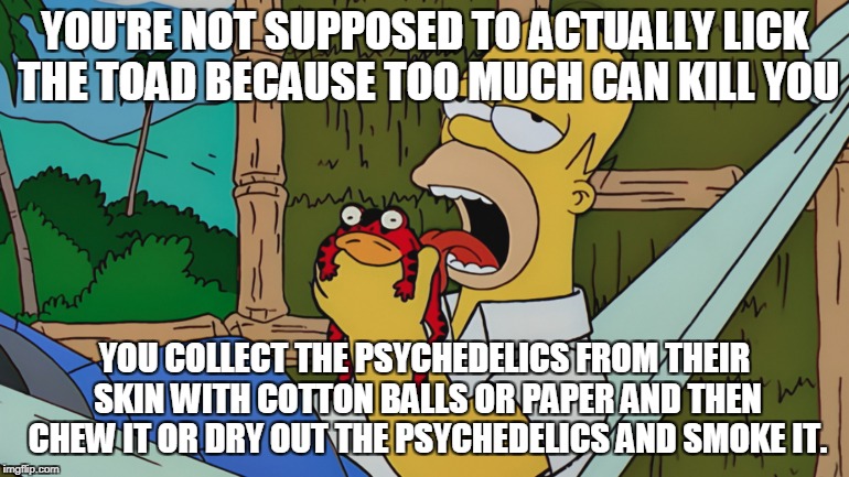 Fact Toad Memes