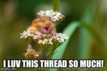 Image tagged in i luv this thread so much - Imgflip