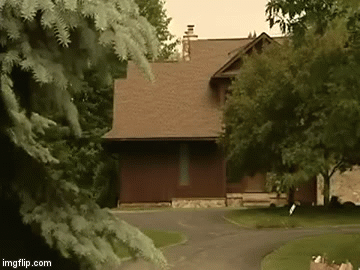 How Fox News shows a bear encounter - Imgflip