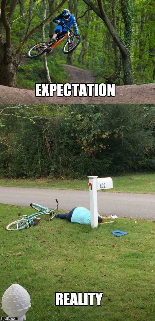 Expectation Vs Reality Meme Template