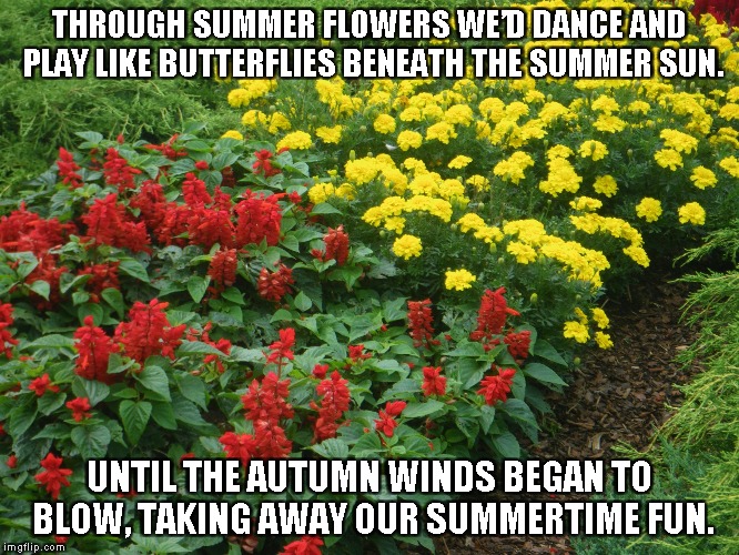 Summertime - Imgflip