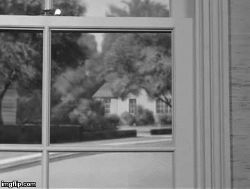 Mrs. Kravitz - Imgflip