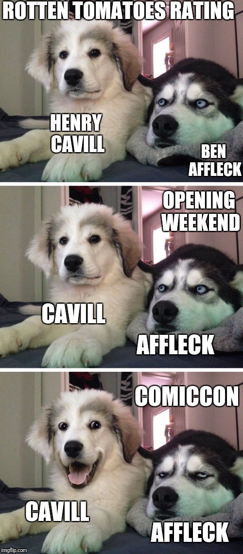 Bad pun dogs - Imgflip