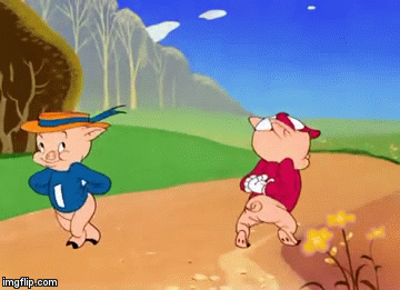 The dance of pigs - Imgflip