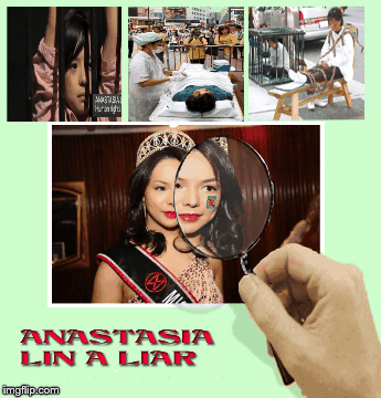 Falun Dafa Cult Anastasia Lin A Liar - Imgflip