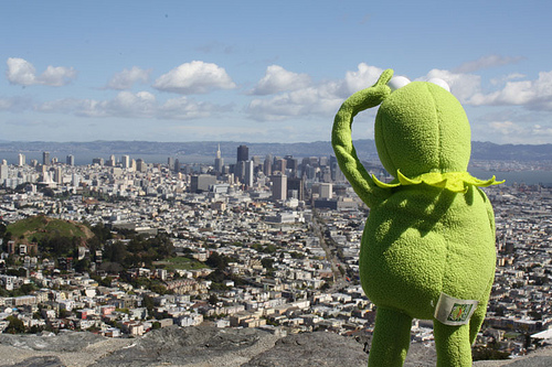 Kermit Searching Blank Template Imgflip