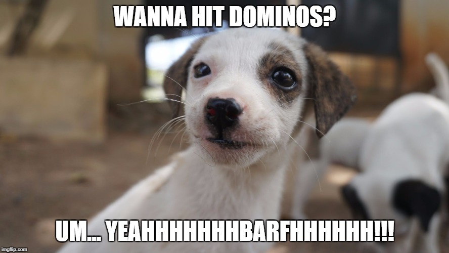 Image tagged in pup yeah - Imgflip