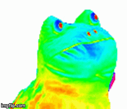epic frog - Imgflip