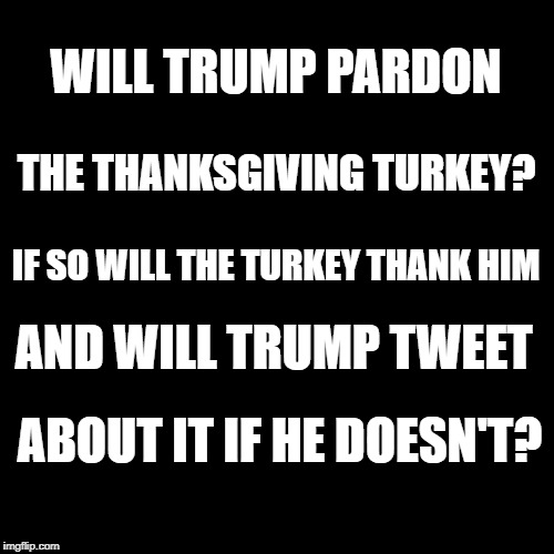 Turkey Pardon - Imgflip