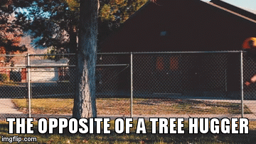 The opposite of a tree hugger - Imgflip