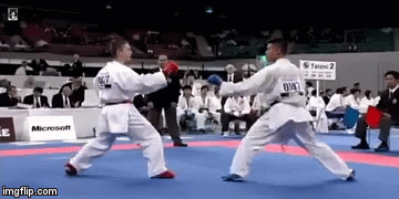 Kumite - Mae geri - Imgflip