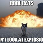 cat explosion Meme Generator - Imgflip