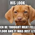 Disappointed Dog Meme Generator - Imgflip