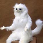 That feeling Meme Generator - Imgflip