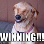 funny dog Meme Generator - Imgflip