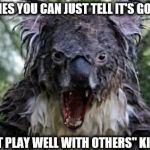 Angry Koala Meme Generator - Imgflip