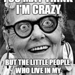 Crazy Lady Meme Generator - Imgflip
