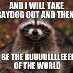 evil genius racoon Meme Generator - Imgflip