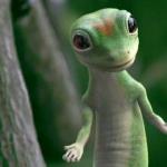 Geico Gecko Meme Generator - Imgflip